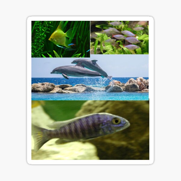 "instances where one can just be loathful, then those instances where ...