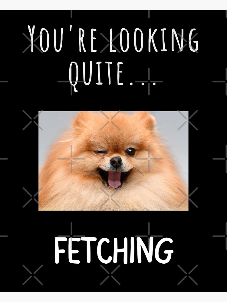 "You look quite... fetching - Dog meme" Poster for Sale by ProdigyWorks ...