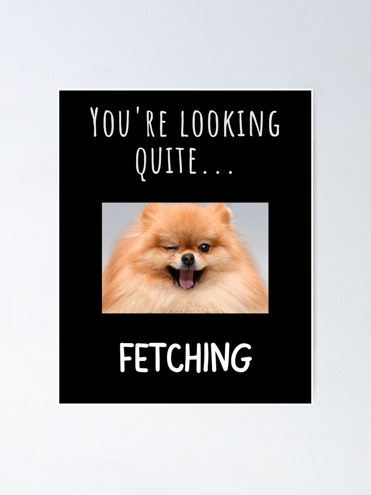 "You look quite... fetching - Dog meme" Poster for Sale by ProdigyWorks ...