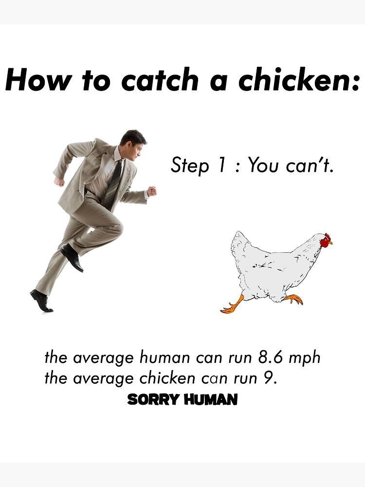 "Running Chicken Meme" Poster for Sale by DeskTopDesign | Redbubble