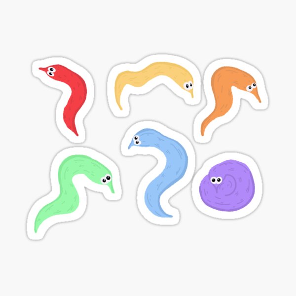 "Rainbow worms on a string " Sticker for Sale by WizardKattDrawz ...