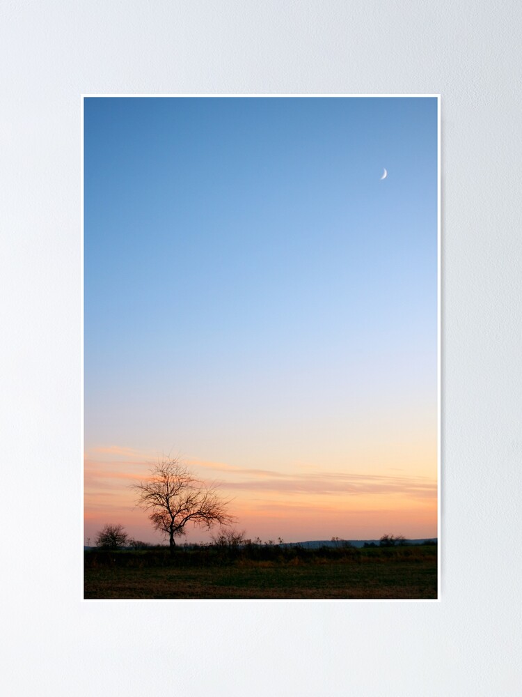 "Study of Isolation" Poster for Sale by dlamb | Redbubble
