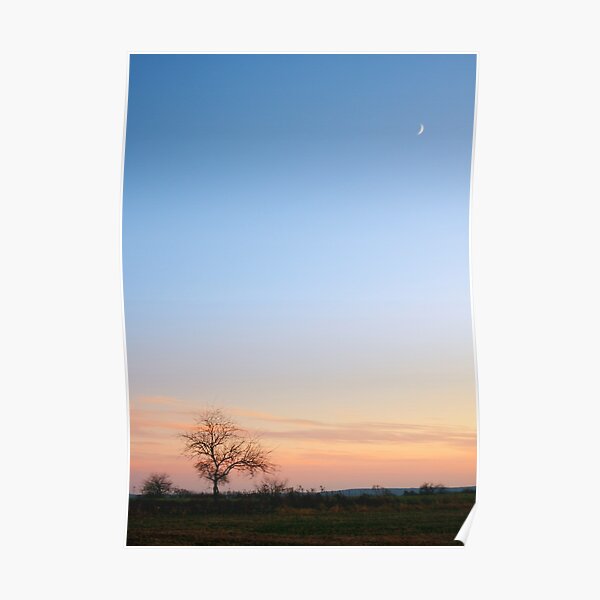 "Study of Isolation" Poster for Sale by dlamb | Redbubble