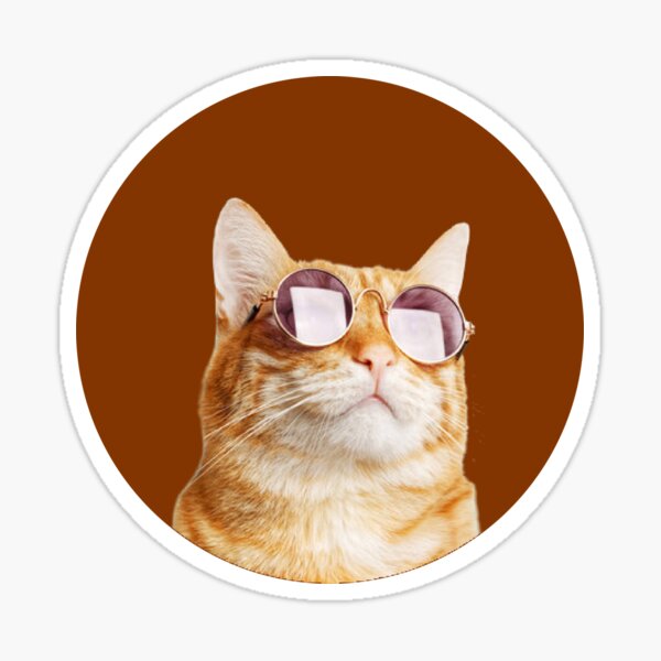 "Cat with glasses" Sticker for Sale by Brandatsyaa | Redbubble