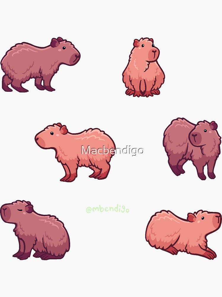"Capybara 2 {pink}" Sticker for Sale by Macbendigo | Redbubble