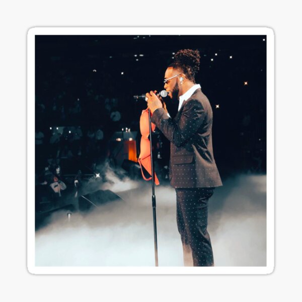 "Burna Boy (1)" Sticker for Sale by Rowter | Redbubble