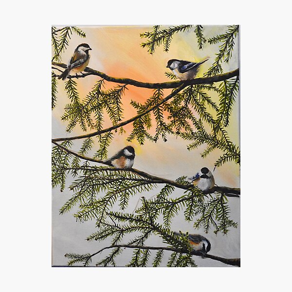 Lámina fotográfica «El diseño del pájaro del árbol Chickadee» de Artful ...