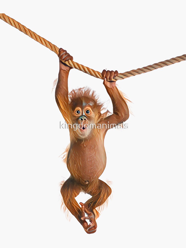 "Monkey Hanging On Rope" Sticker for Sale by kingdomanimals | Redbubble