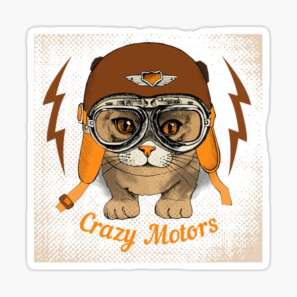 "Cat_Biker_retro_crazy" Sticker for Sale by AminoCro | Redbubble