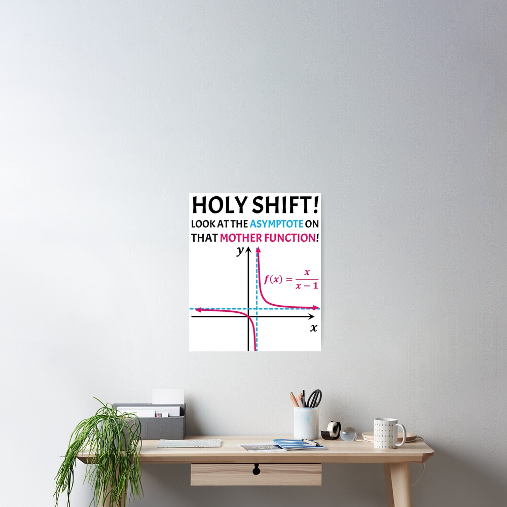 "Funny Nerdy Holy Shift Look At the Asymptote on that Mother Function ...