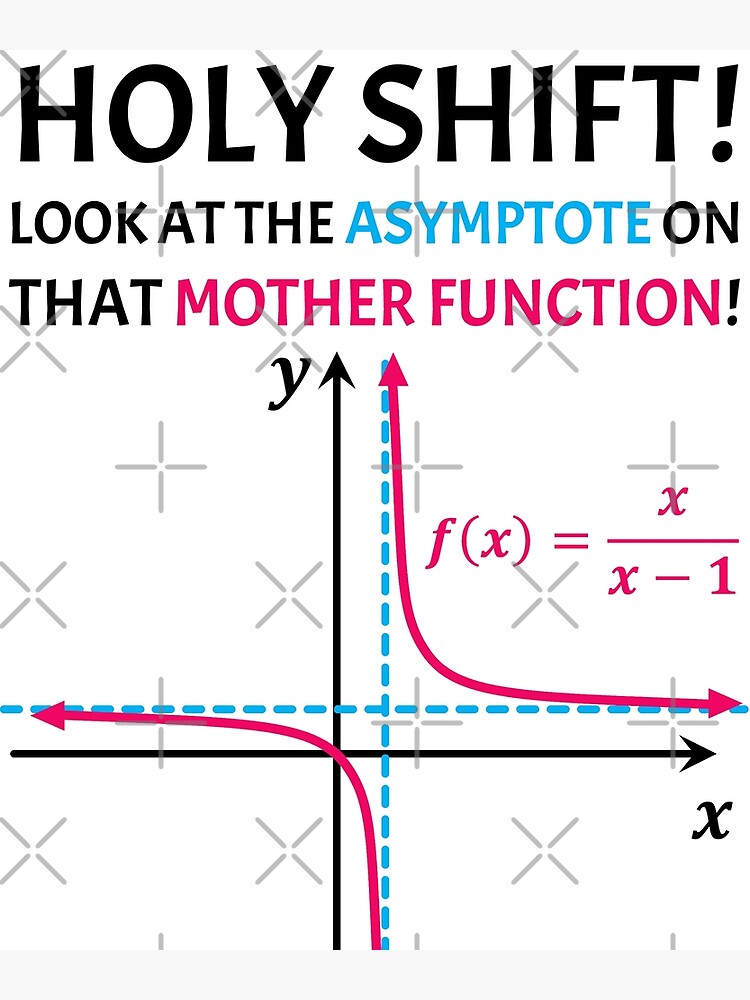 "Funny Nerdy Holy Shift Look At the Asymptote on that Mother Function Math Puns Algebra Back to ...