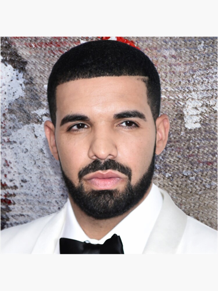 "Drake " Sticker for Sale by PaigeWuckert | Redbubble