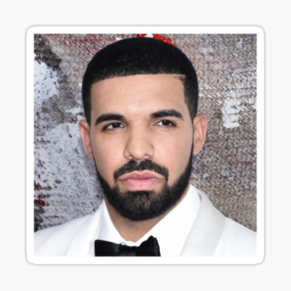 "Drake " Sticker for Sale by PaigeWuckert | Redbubble