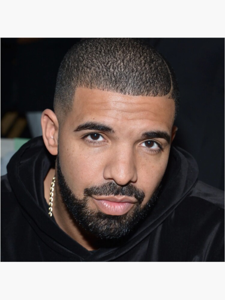 "Drake " Sticker for Sale by PaigeWuckert | Redbubble