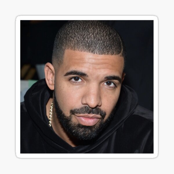 "Drake " Sticker for Sale by PaigeWuckert | Redbubble