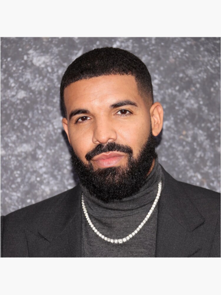 "Drake" Sticker for Sale by PaigeWuckert | Redbubble