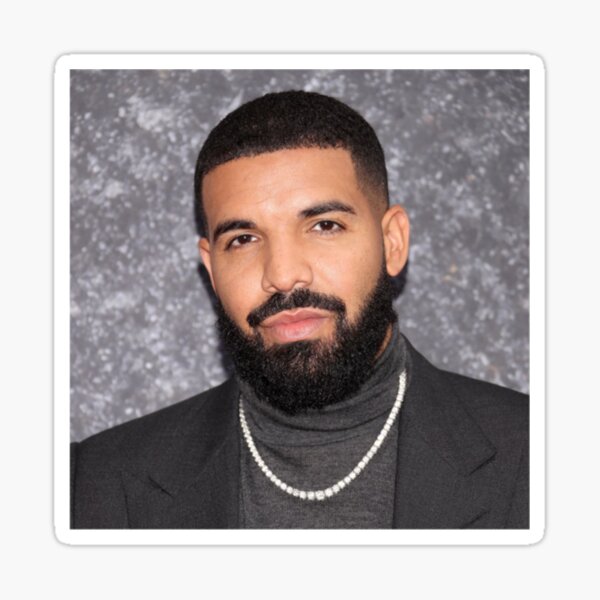 "Drake" Sticker for Sale by PaigeWuckert | Redbubble