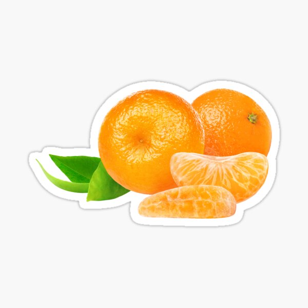 "Tangerines" Sticker for Sale by 6hands | Redbubble