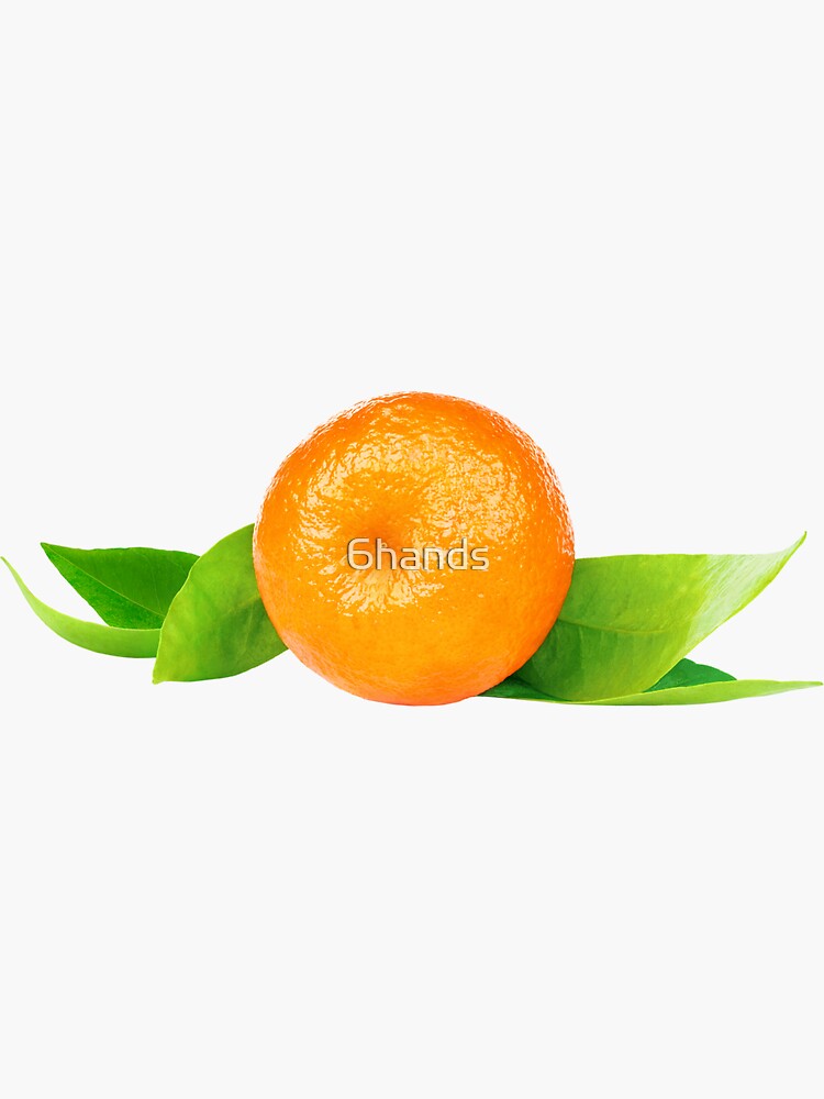 "Tangerine" Sticker for Sale by 6hands | Redbubble