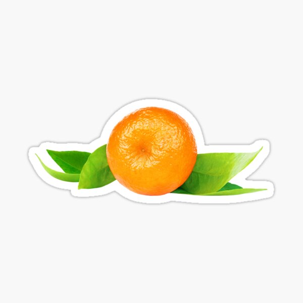 "Tangerine" Sticker for Sale by 6hands | Redbubble