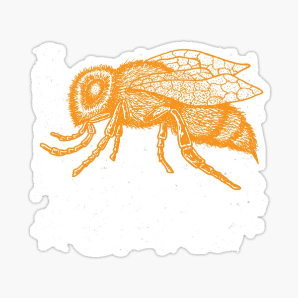 "1125 Be-Bee-ink-illustrated-5036" Sticker for Sale by DanielDerossi ...