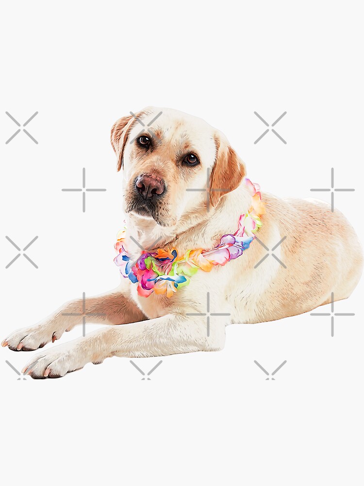"Cute Lab With a Lei" Sticker for Sale by doglovershirts | Redbubble