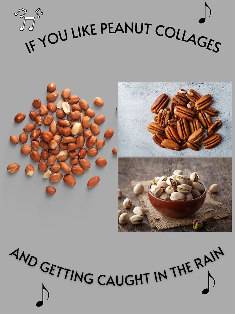 "Humorous song on poster, peanut collage, photos, music notes" Sticker ...