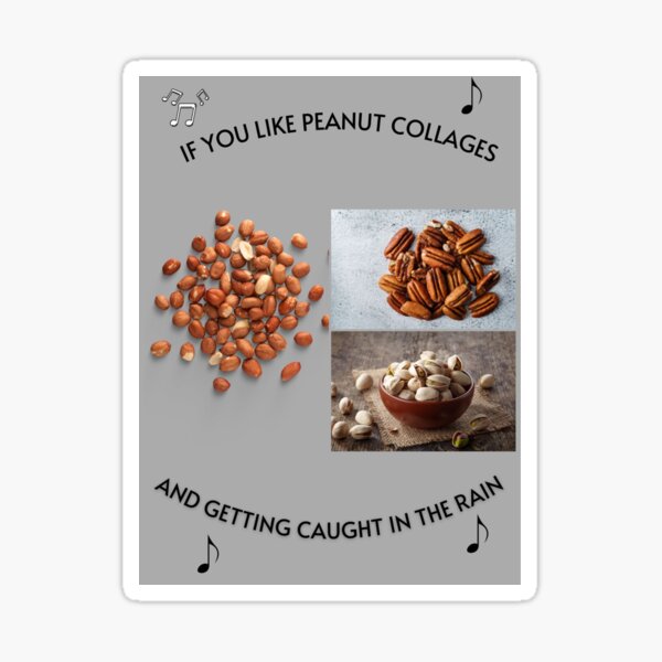 "Humorous song on poster, peanut collage, photos, music notes" Sticker ...