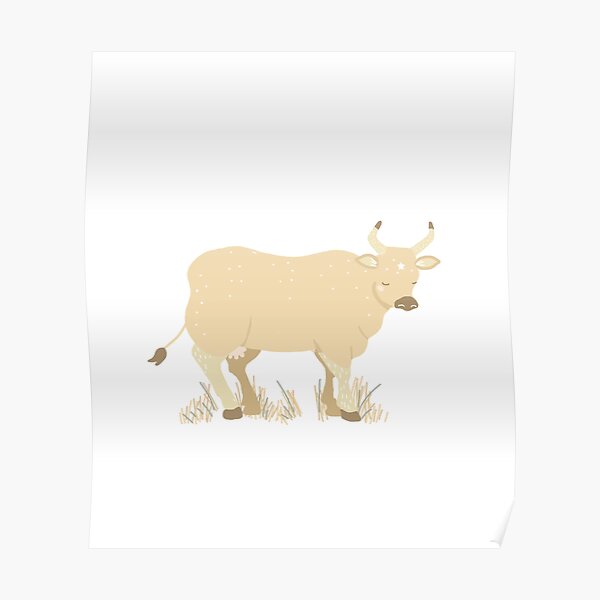 "the beautiful Ndama cow" Poster for Sale by A-Farfadet | Redbubble