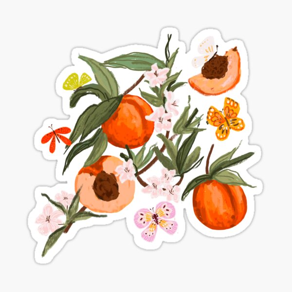 "Botanical peaches and butterflies illustration " Sticker for Sale by ...