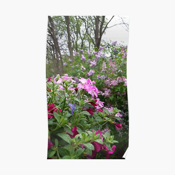 "Spring Flowers Dreamscape" Poster for Sale by silvaris | Redbubble