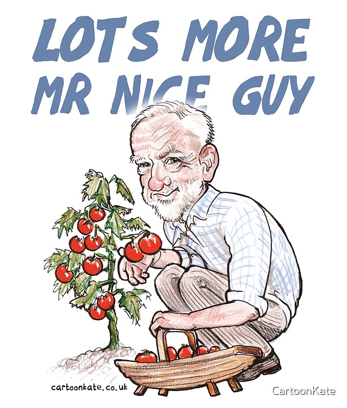 "Lots More Mr Nice Guy" by CartoonKate | Redbubble