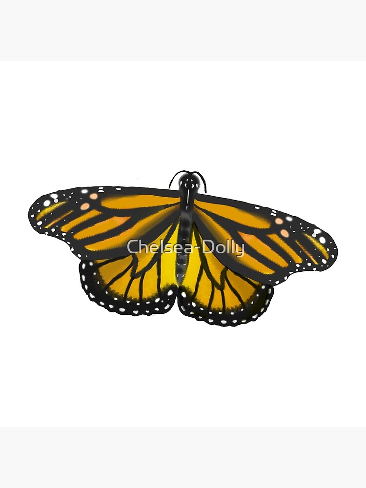 Póster «Mariposa monarca» de Chelsea-Dolly | Redbubble