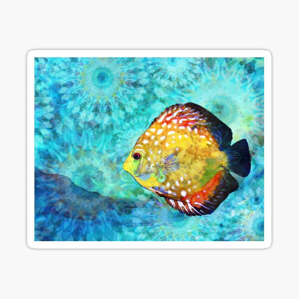 "Colorful Discus Fish -Fresh Water And Tropical Fish Art" Sticker for ...