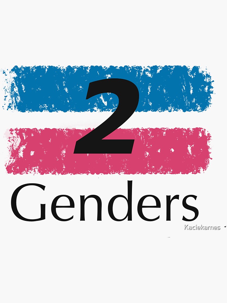 "Only 2 genders version 2" Sticker for Sale by Kaciekarnes | Redbubble
