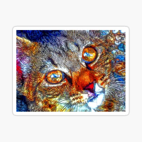 "Cat Eyes" Sticker for Sale by danieljanda | Redbubble