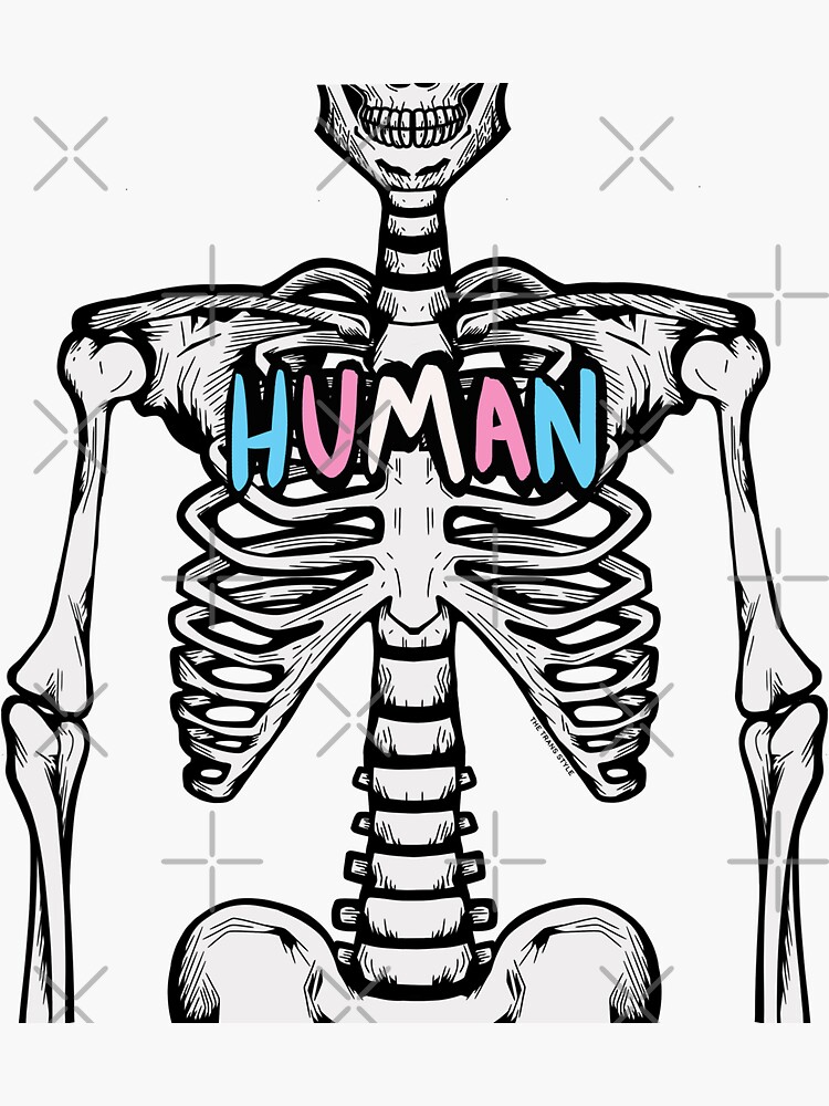 "*Trans Human Design Full Skeleton" Sticker for Sale by TheTransStyle ...
