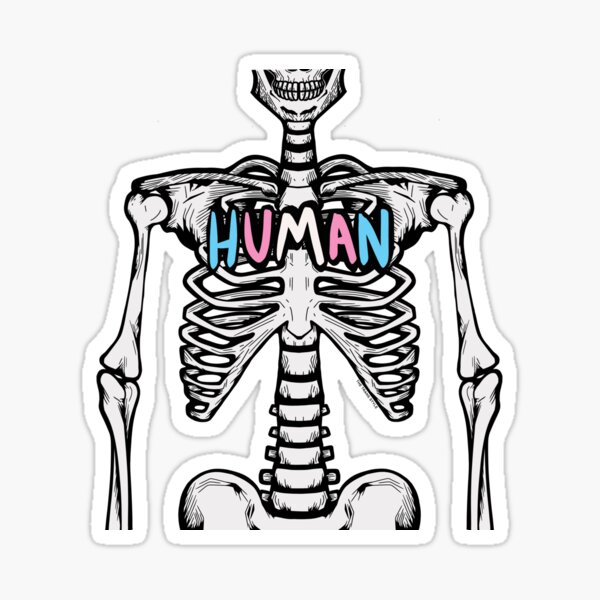 "*Trans Human Design Full Skeleton" Sticker for Sale by TheTransStyle ...