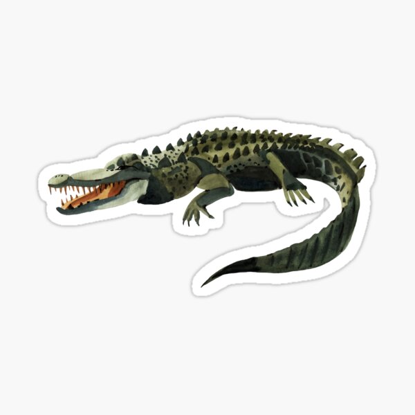 "Saltie The Dangerous Saltwater Crocodile" Sticker for Sale by ...