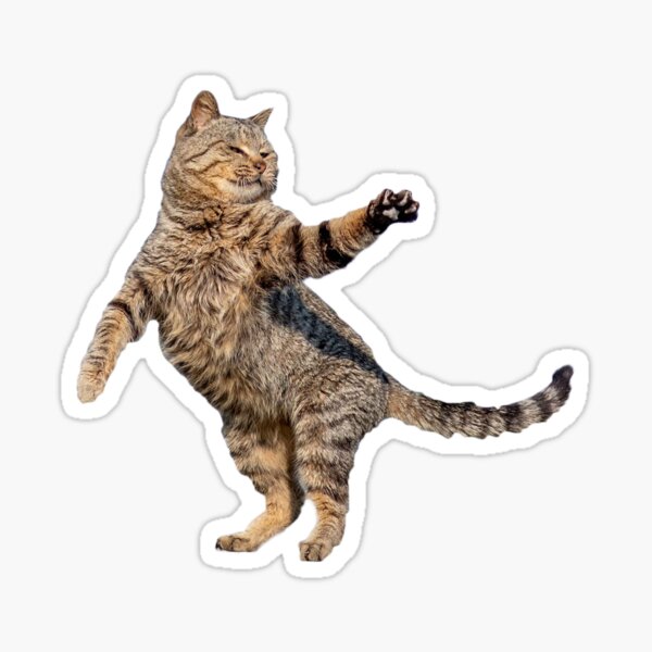 "dancing cat" Sticker for Sale by DestinyComplex | Redbubble