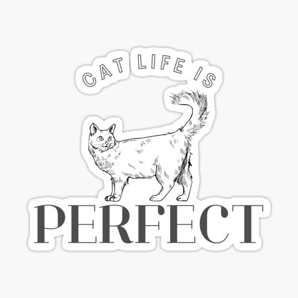 "cat life is perfect" Sticker for Sale by Soofingscapes | Redbubble
