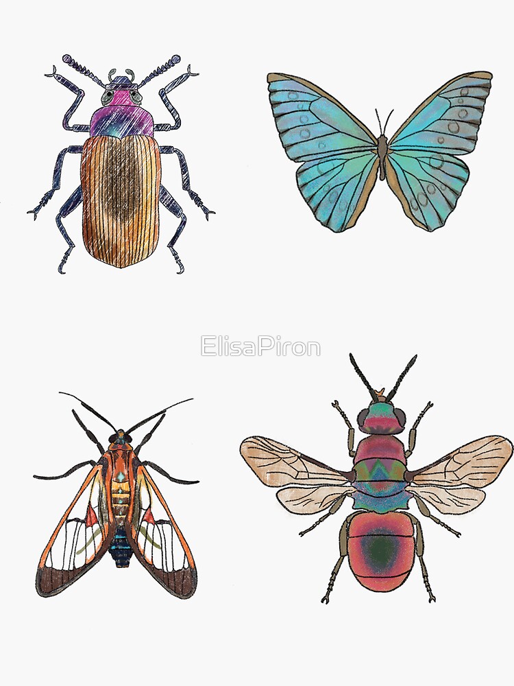 "Insect Sticker Pack" Sticker for Sale by ElisaPiron | Redbubble