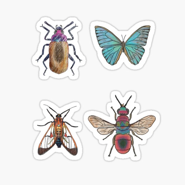"Insect Sticker Pack" Sticker for Sale by ElisaPiron | Redbubble