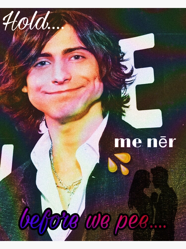 "Aidan Gallagher Meme" Poster for Sale by theastralrealm | Redbubble