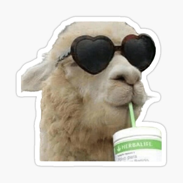 " Cool Goat with sunglasses " Sticker for Sale by Skayne | Redbubble