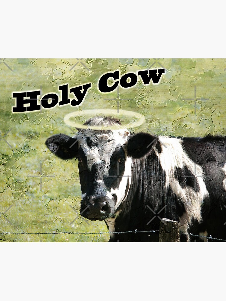 "Holy Cow" Sticker for Sale by CarolM | Redbubble