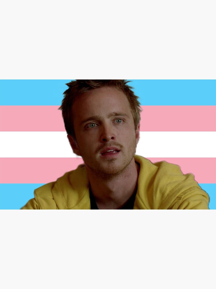 "Jesse Pinkman is Trans" Sticker for Sale by QuietTreasure | Redbubble