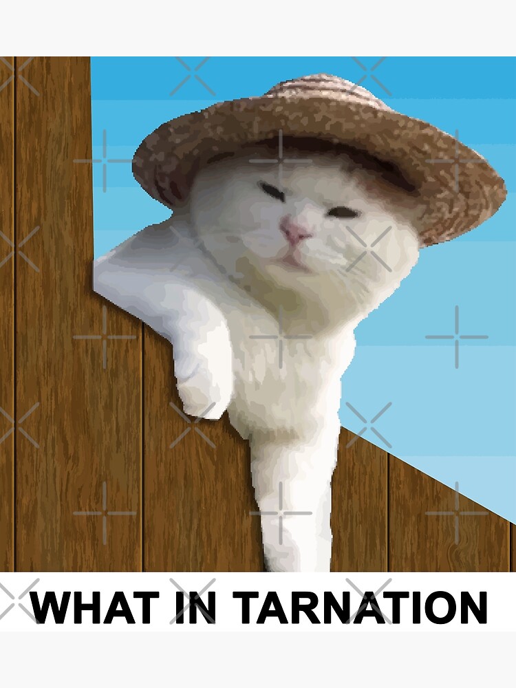 "What in Tarnation" Art Print for Sale by christopper | Redbubble