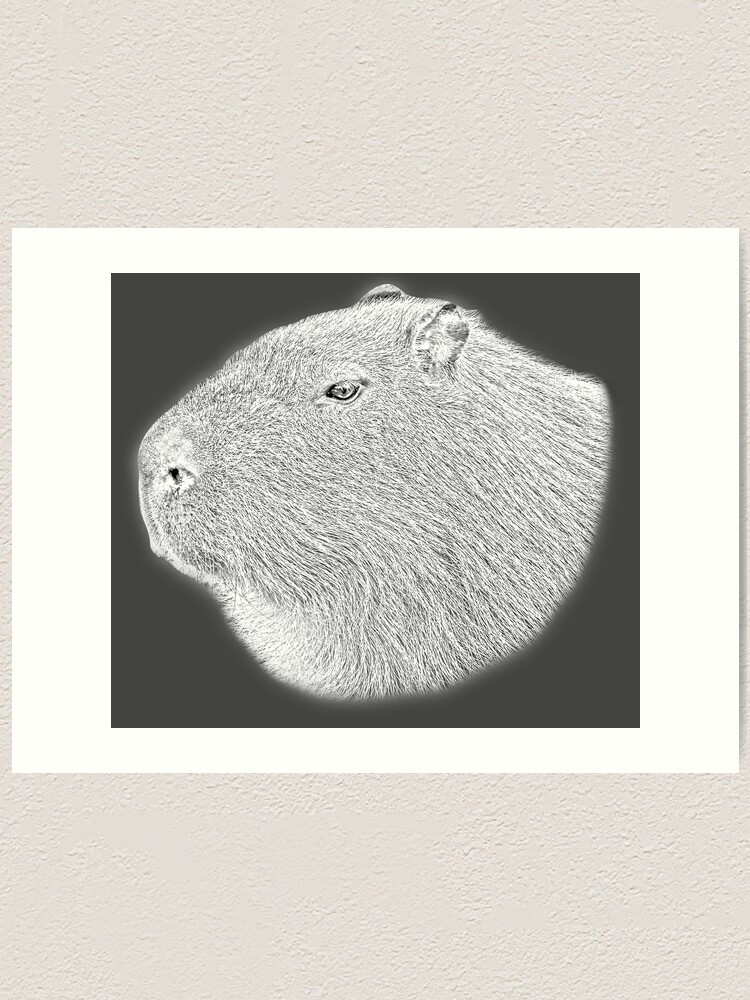 "Drawing of a Capybara Face" Art Print for Sale by Dalyn | Redbubble