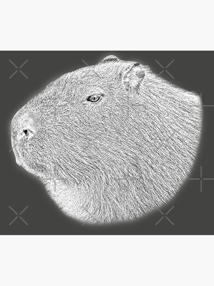 "Drawing of a Capybara Face" Art Print for Sale by Dalyn | Redbubble